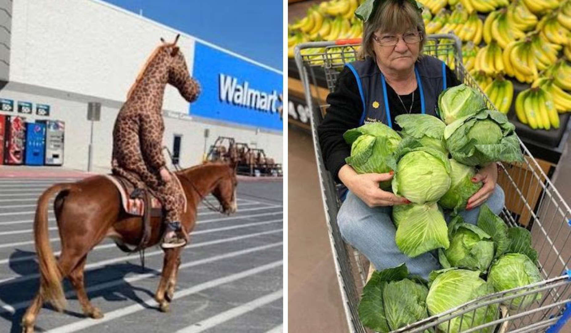 20 Unexpected and Wild Scenes at Walmart