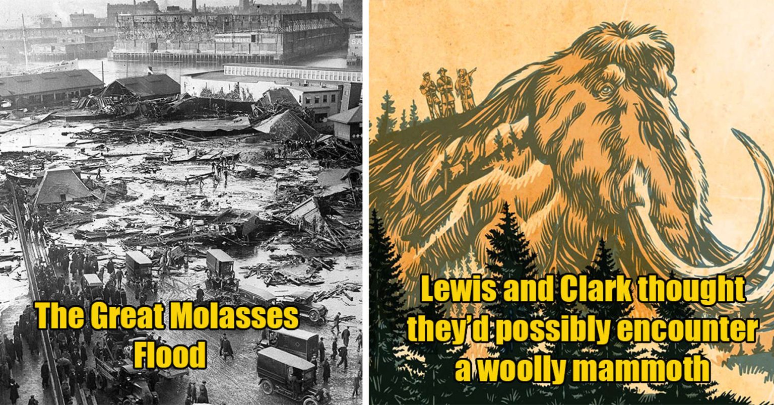 18 Insanely Goofy Facts From History