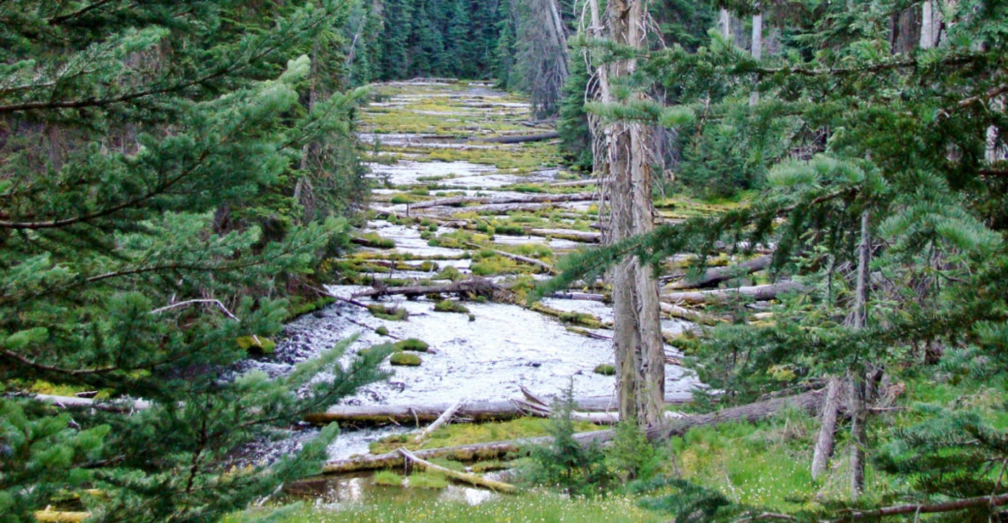 America’s Top 13 Most Dangerous Rivers